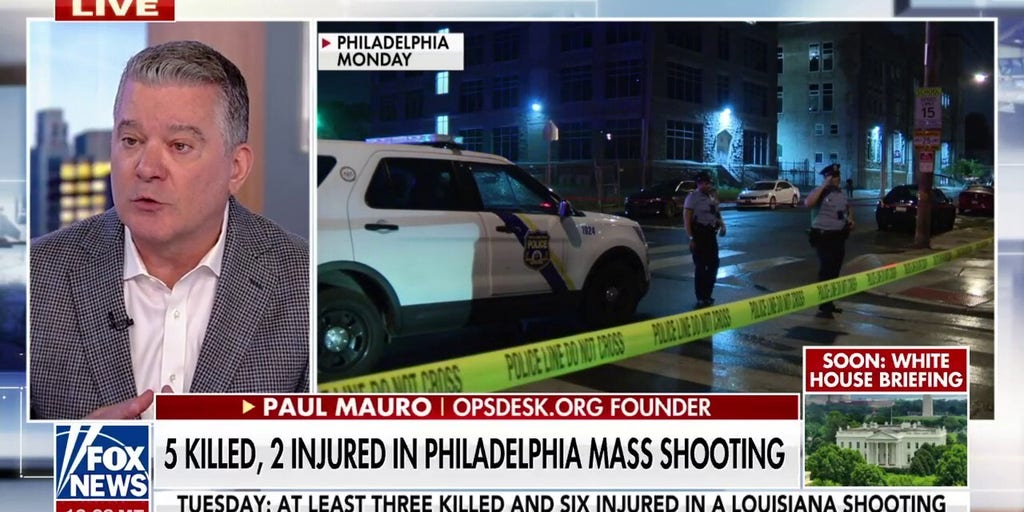 Under de Blasio's bail reform laws, there is sanction for shoplifting: Paul Mauro | Fox News Video