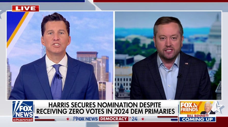 Democratic Party went from an ‘Irish wake to a wedding’: Kevin Walling ...