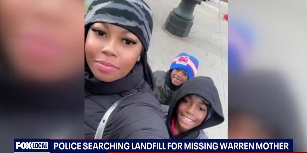 Police in Michigan investigating Ashley Elkins' disappearance search ...