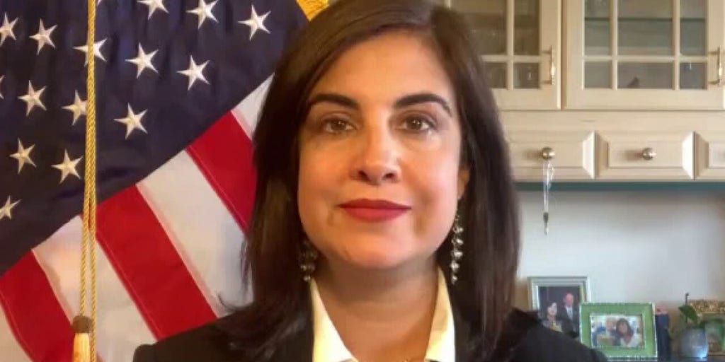 Rep. Malliotakis: US needs access to Wuhan lab records | Fox News Video