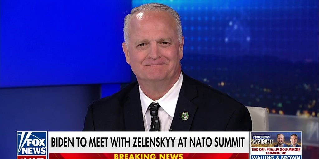 There is no way the US would bring Ukraine into NATO while at war: Lt ...