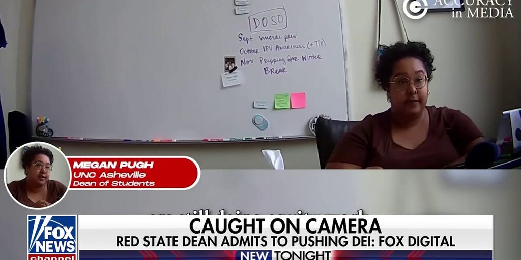 University dean out of job after pushing DEI | Fox News Video