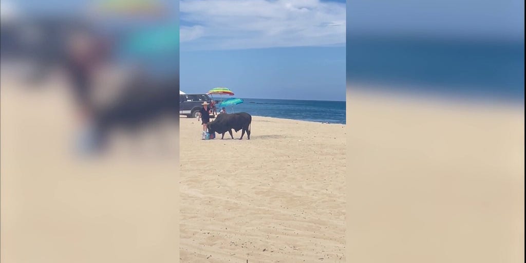 Loose bull attacks woman on popular Mexican beach, wild video shows ...