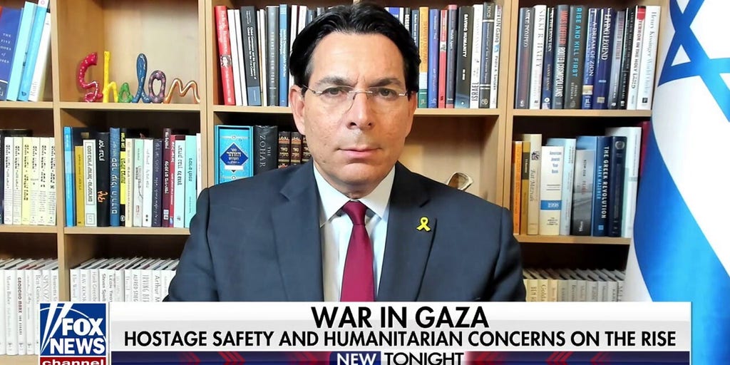 We're determined to continue allowing aid to come into Gaza, says ...