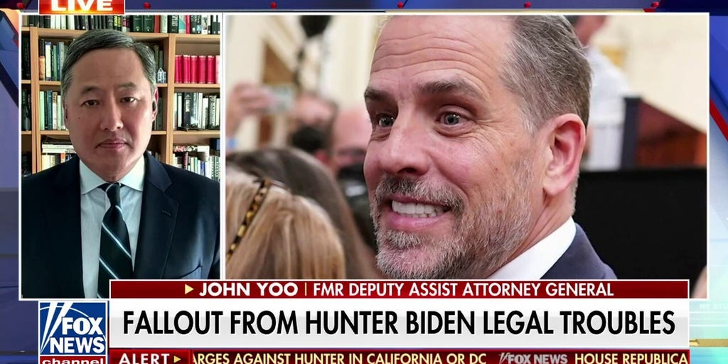 DOJ using gun charge to ‘distract everybody’: John Yoo | Fox News Video