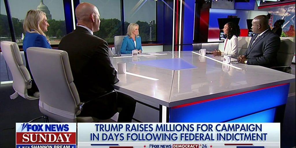 Everyday Americans are holding Trump accountable: Elizabeth Wydra | Fox ...