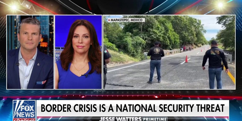 Democrats are now saying this is a real problem: Tudor Dixon | Fox News ...