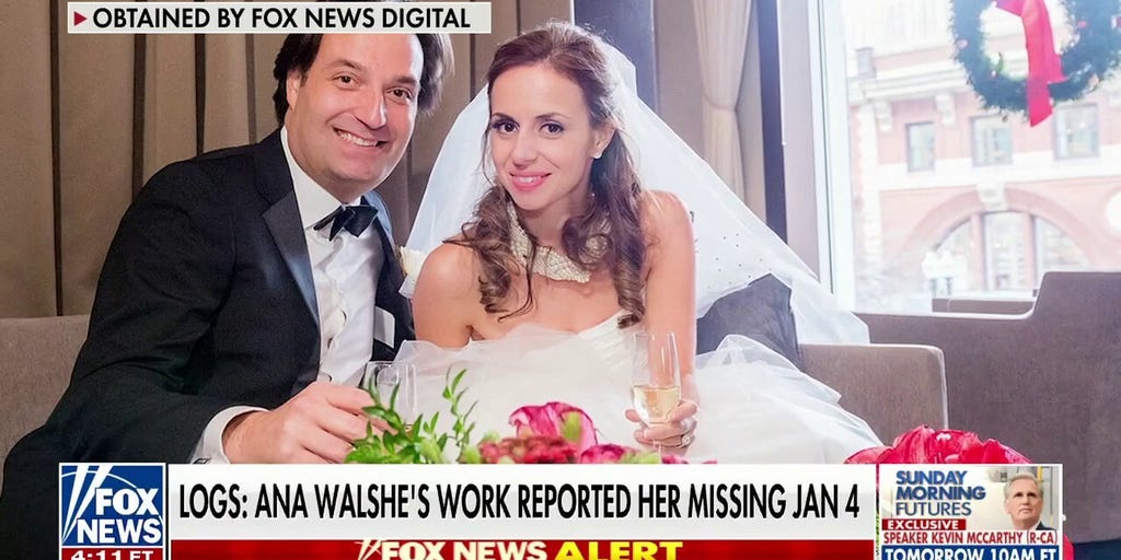 Brian Walshe in police custody, charged with misleading investigators ...