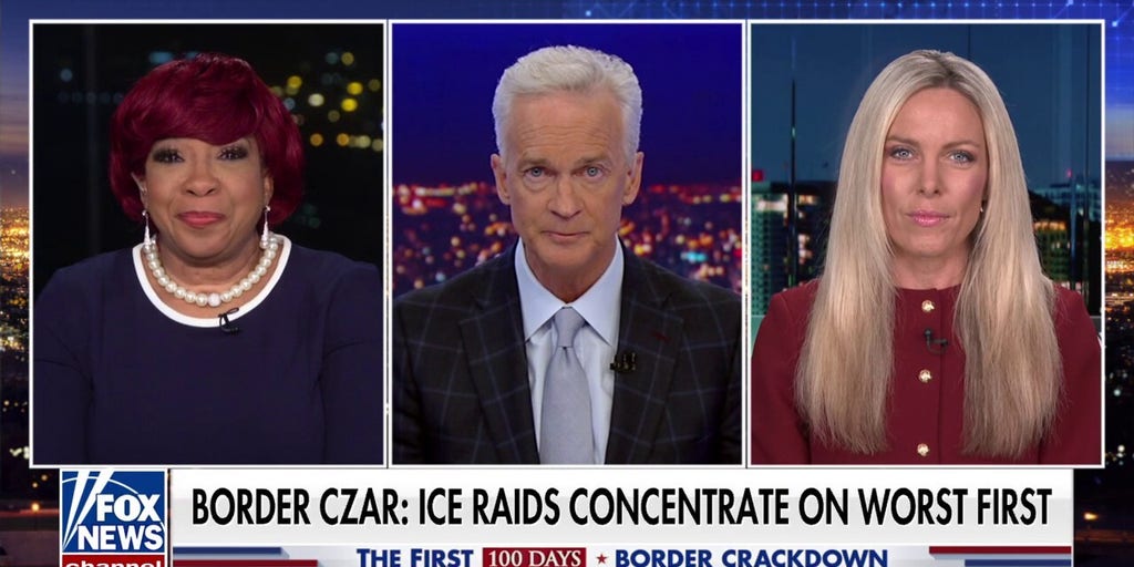 ICE raids allow law enforcement to ‘do their jobs’ and ‘make America safe again,’ says Nicole ...