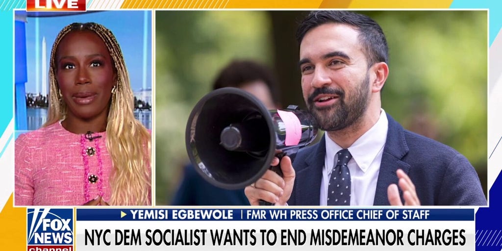 Former Biden official warns 'this is a lesson for Democratic leadership ...