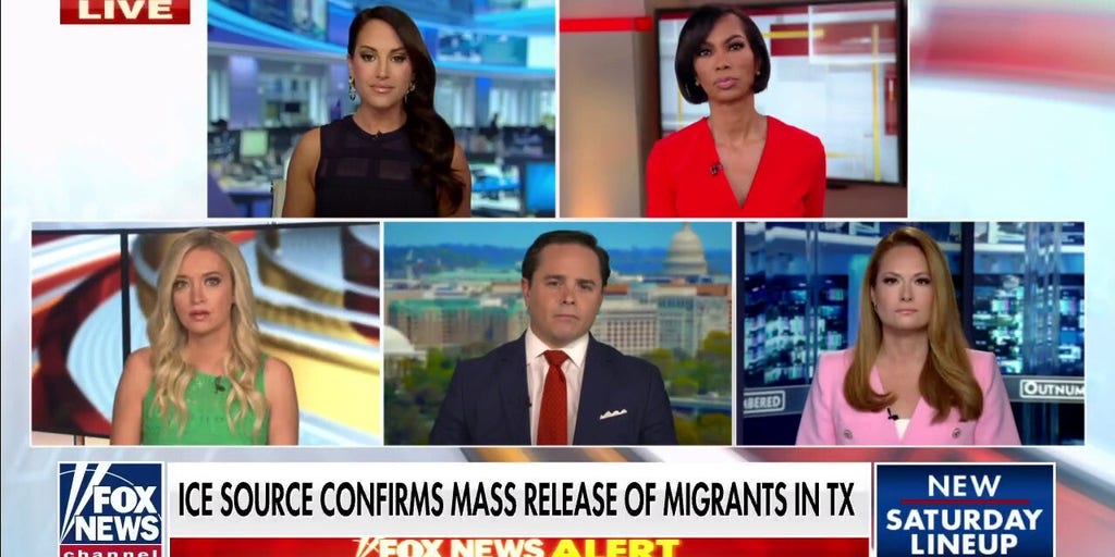 Emily Compagno: The government is already betraying us | Fox News Video