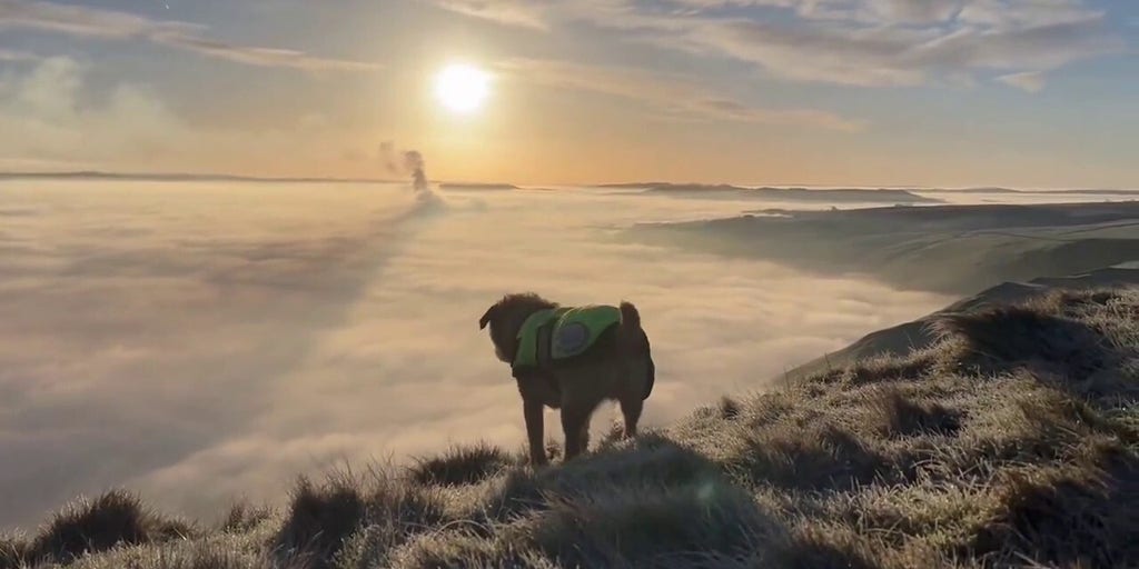 Pup and owner enjoy sunrise over Mam Tor during cloud inversion | Fox ...