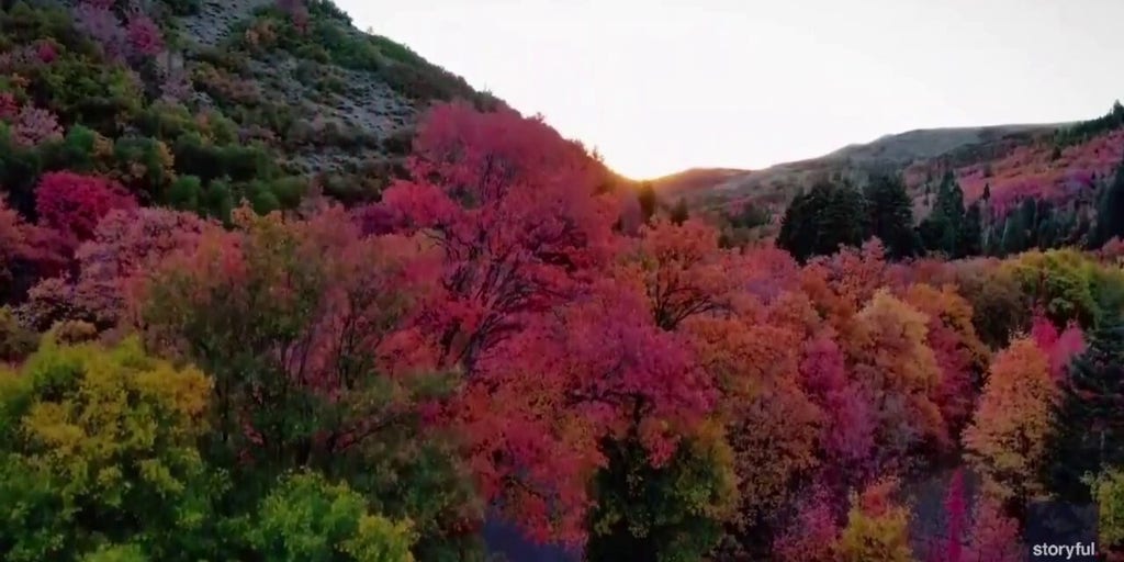 Vibrant autumn colors spread across Utah | Fox News Video
