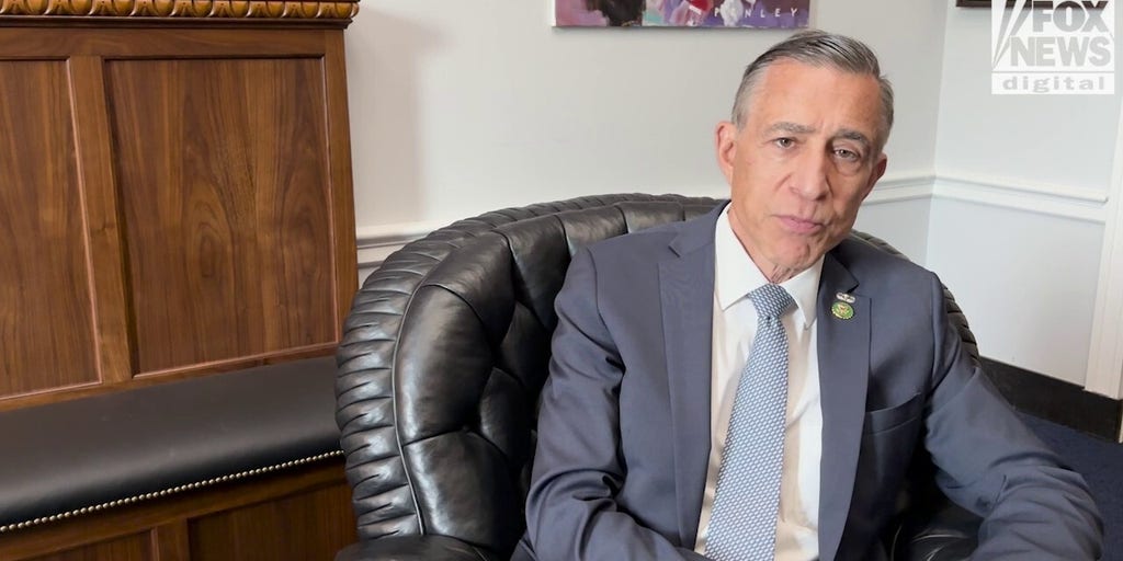 GOP lawmaker slams sanctuary policies for cultivating anti-ICE movement ...