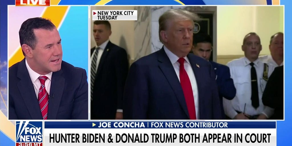 Hunter Biden, Donald Trump appear in court | Fox News Video