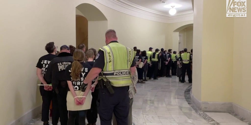 Demonstrators detained by Capitol Hill police during a large protest ...
