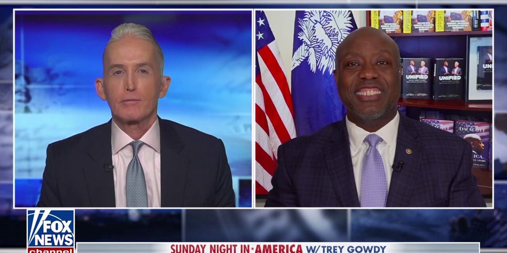 Sen. Tim Scott explains the rationale behind Trump's 90-day tariff ...