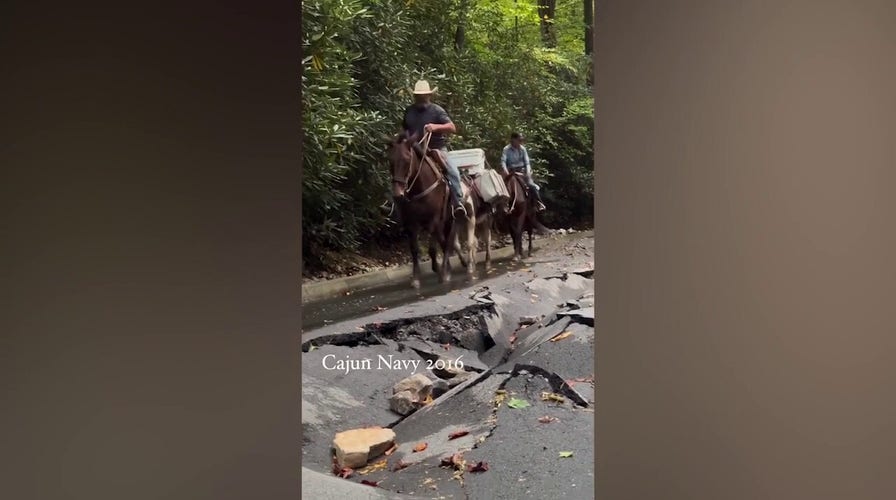 Hurricane Helene relief: Mules helping to bring supplies to residents ...