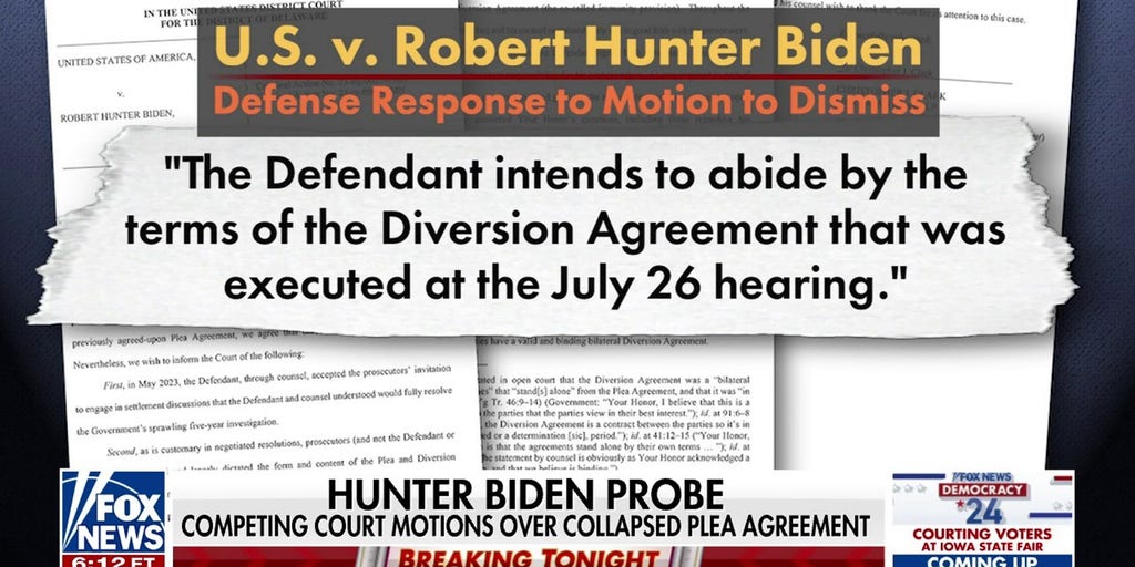 Hunter Biden plea deal faces scrutiny | Fox News Video