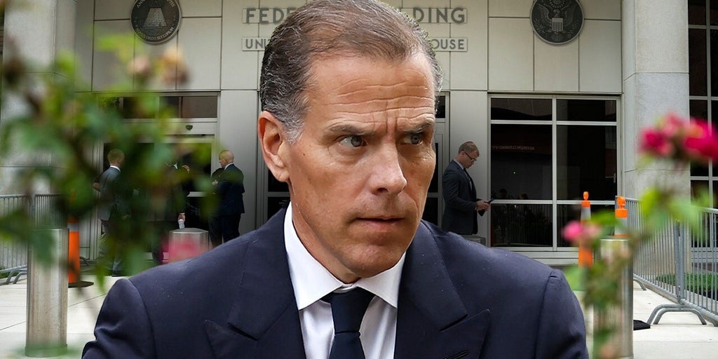 Growing number of Dems believe Hunter Biden's pardon tarnishes the ...