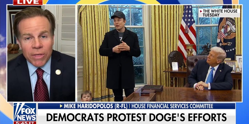 GOP lawmaker blasts Dems for coming out in 'full force' against DOGE ...