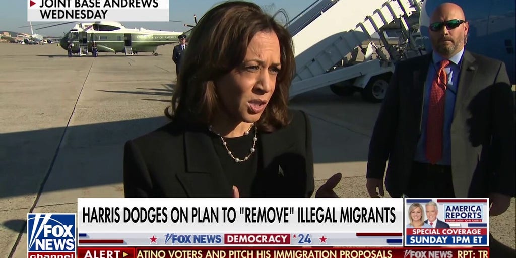 Kamala Harris' border policies are a 'magnet' for illegal migrants ...