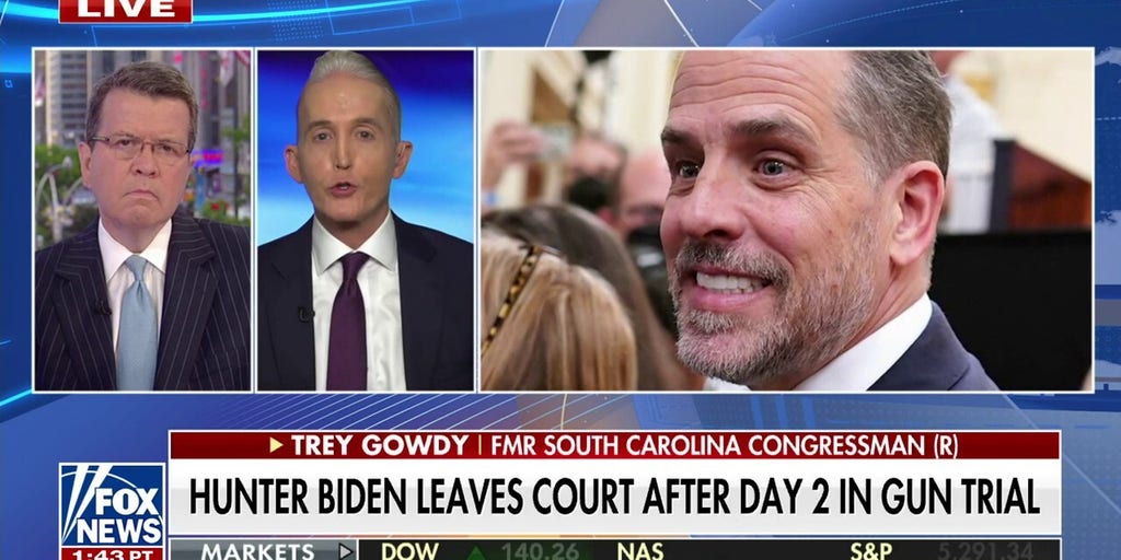 Trey Gowdy says you can 'rule this out' in the Hunter Biden gun trial ...