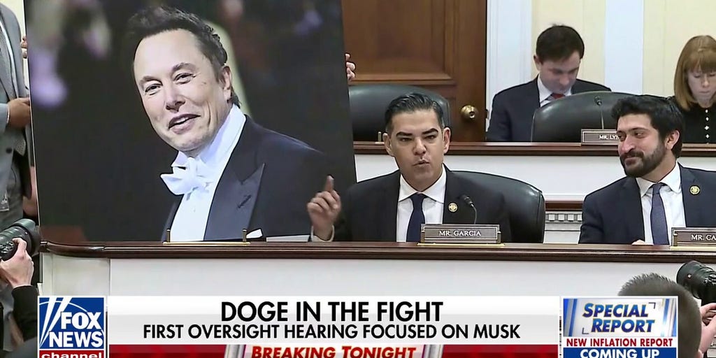 House Democrats take aim at Elon Musk during first DOGE subcommittee ...