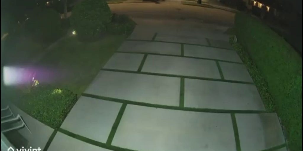 Miami Police Investigating An Attempted Abduction Fox News Video