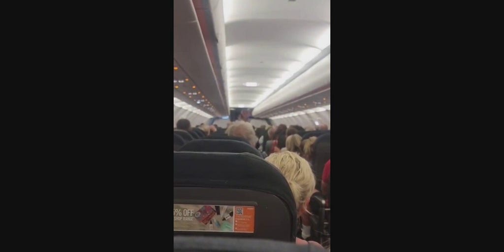 Pilot asks 20 passengers to deplane over flight being ‘too heavy’ | Fox ...