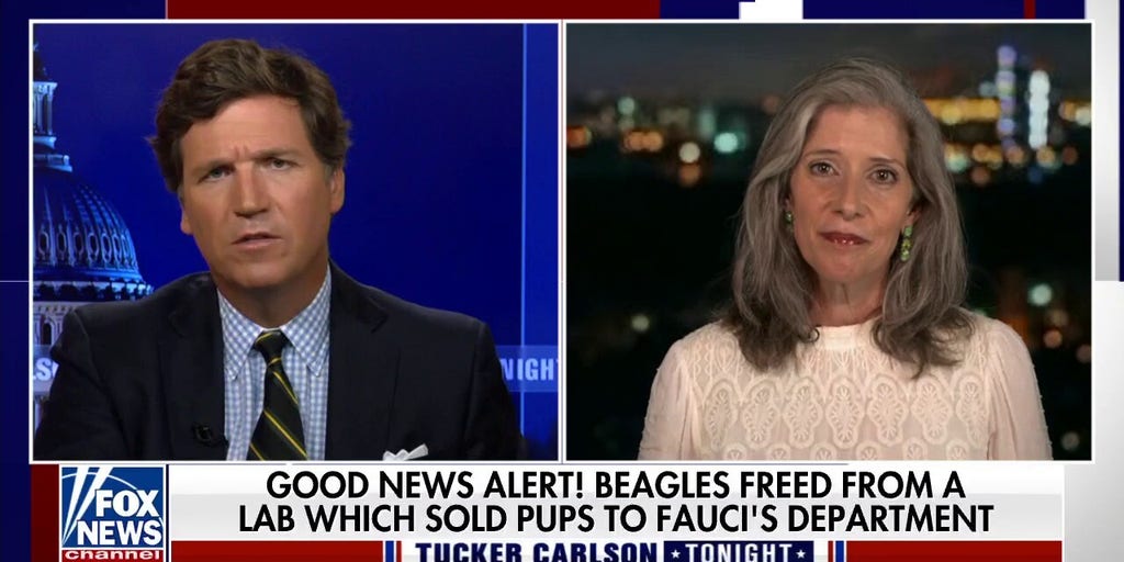 Beagles freed from Dr. Fauci's testing lab | Fox News Video
