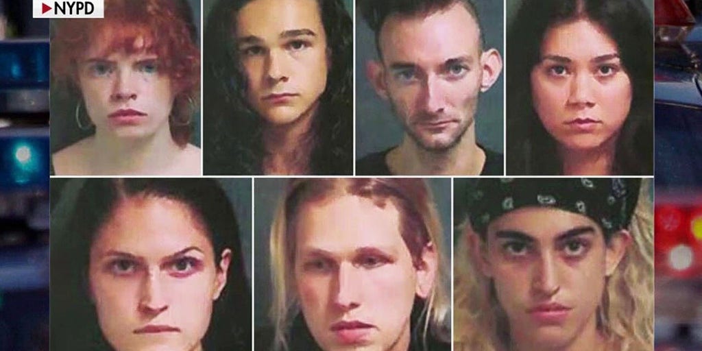 Mugshots of 'privileged' protesters released | Fox News Video