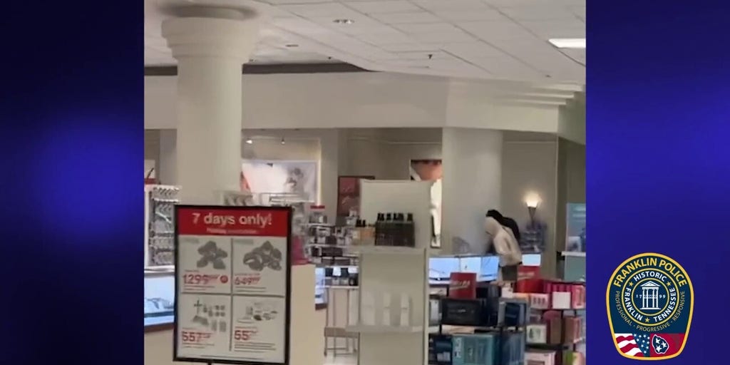 Tennessee police officers intervene in brazen robbery attempt, video shows | Fox News Video