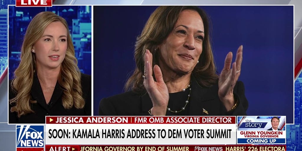 ‘I don’t think she has a platform,’ says former Trump administration ...