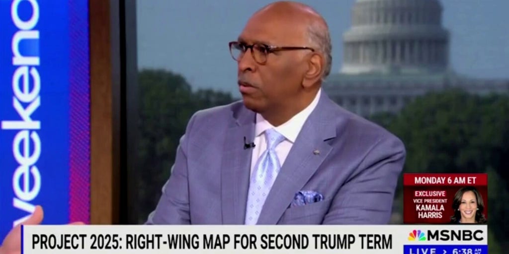 MSNBC analyst Michael Steele shrugs off murder of girl during ...