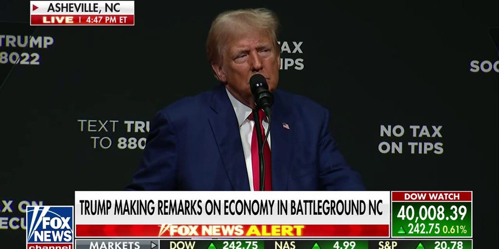 Trump pledges to slash energy and electricity prices by one-half within ...