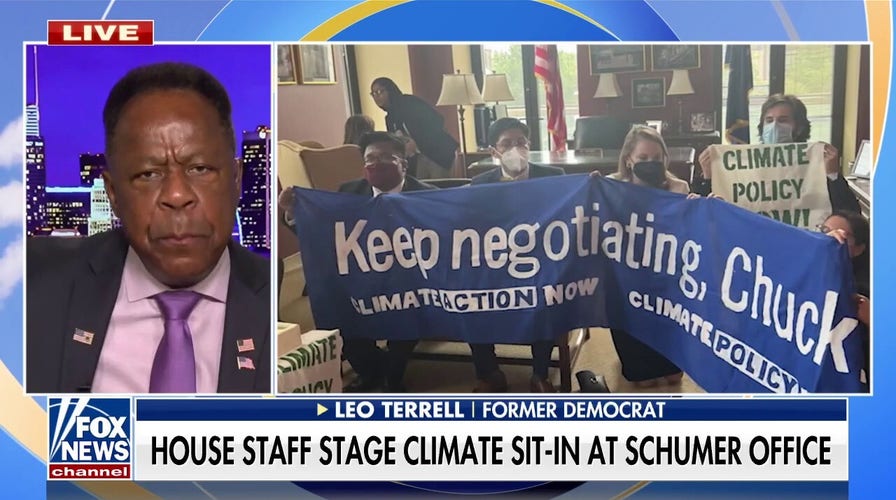 Leo Terrell slams House Democrat staffers' protests as a 'photo-op': It ...