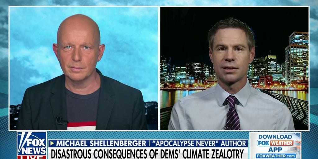 Are solar panels the solution to America's energy issues? | Fox News Video