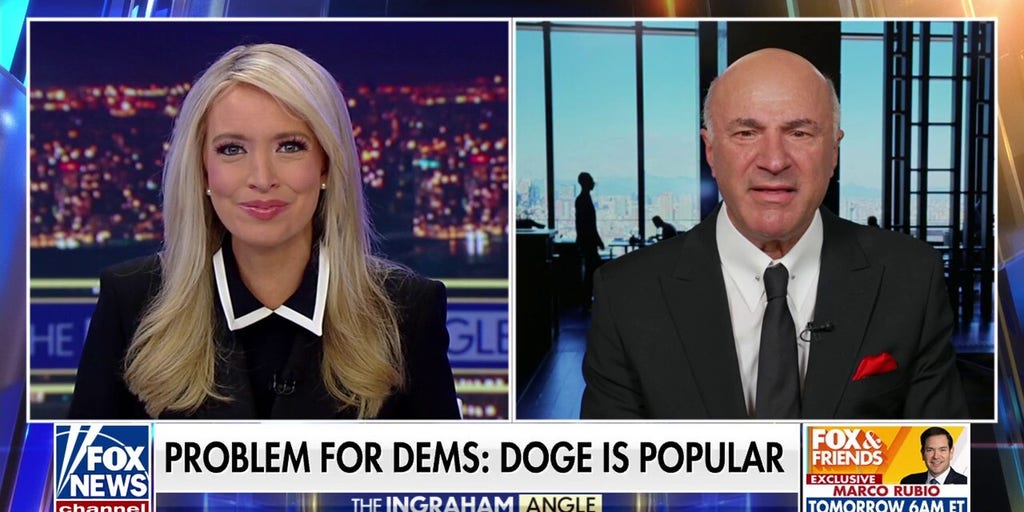 Kevin O’Leary concerned DOGE is ‘not cutting enough’ | Fox News Video