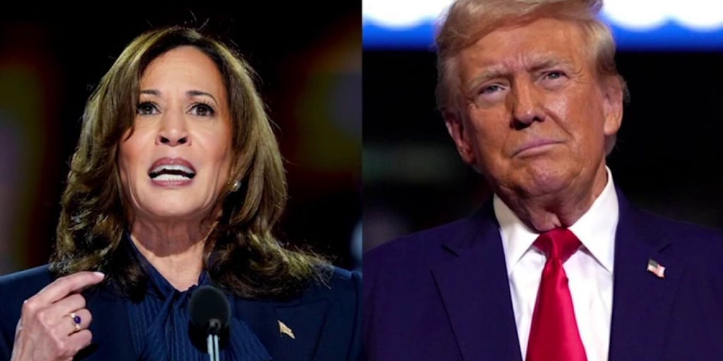 Michigan is 'ground zero' for most important issues in 2024 election: Kaitlyn Buss | Fox News Video