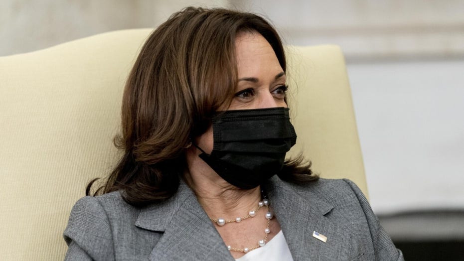 House Republicans Display Kamala Harris Milk Carton At News Conference
