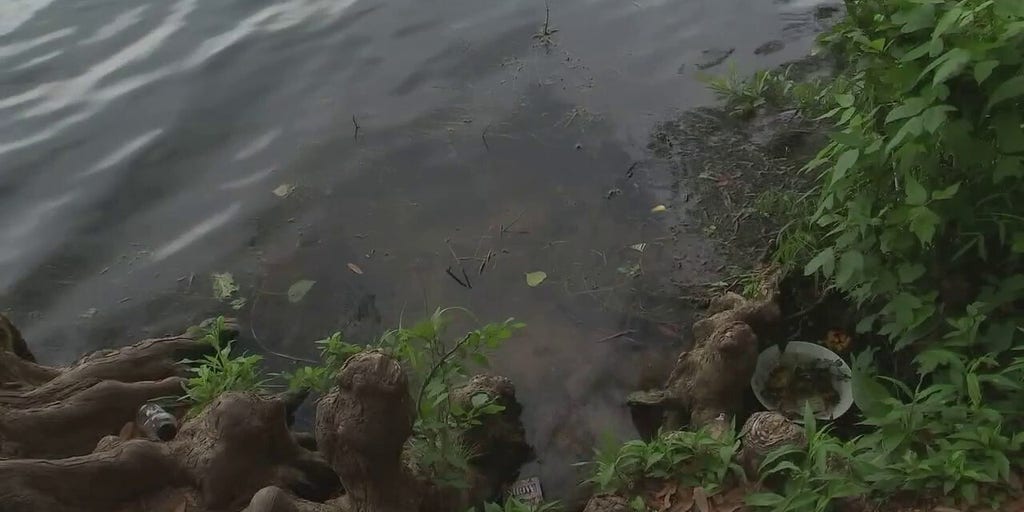 Latest body found in Lady Bird Lake renews safety concerns | Fox News Video