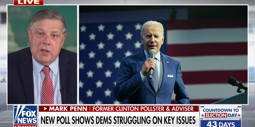 Former Clinton pollster: 'Most people don't want to see Biden run for ...