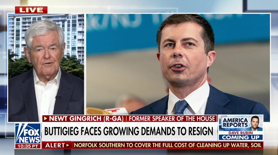 Gingrich torches Buttigieg: 'Perfect symbol of incompetency protected ... Gingrich torches Buttigieg: 'Perfect symbol of incompetency protected ...