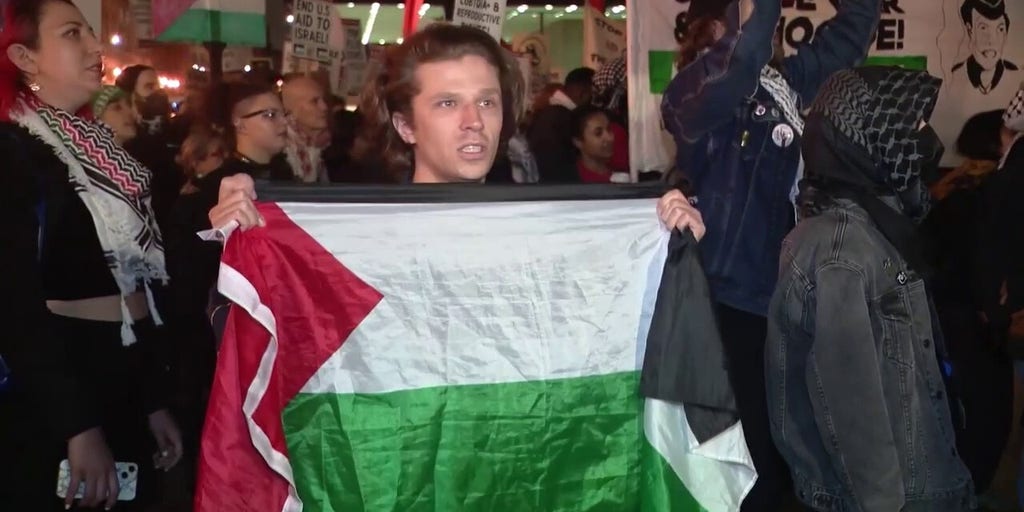 Chicago protesters the day after election | Fox News Video