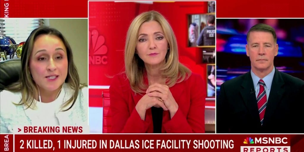MSNBC panelists blame rhetoric against illegal immigrants for deadly ...