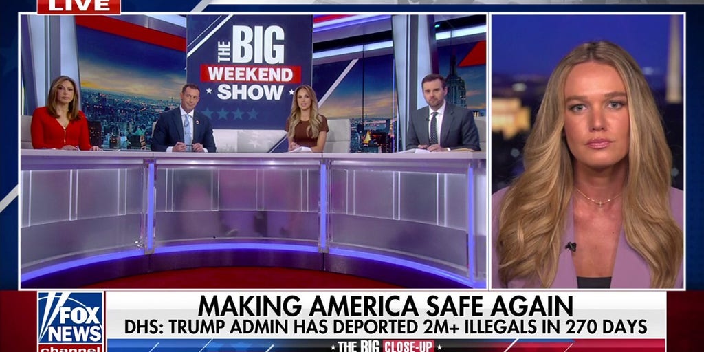 Democrats’ ICE tracker plan encourages illegal immigrants to evade ...