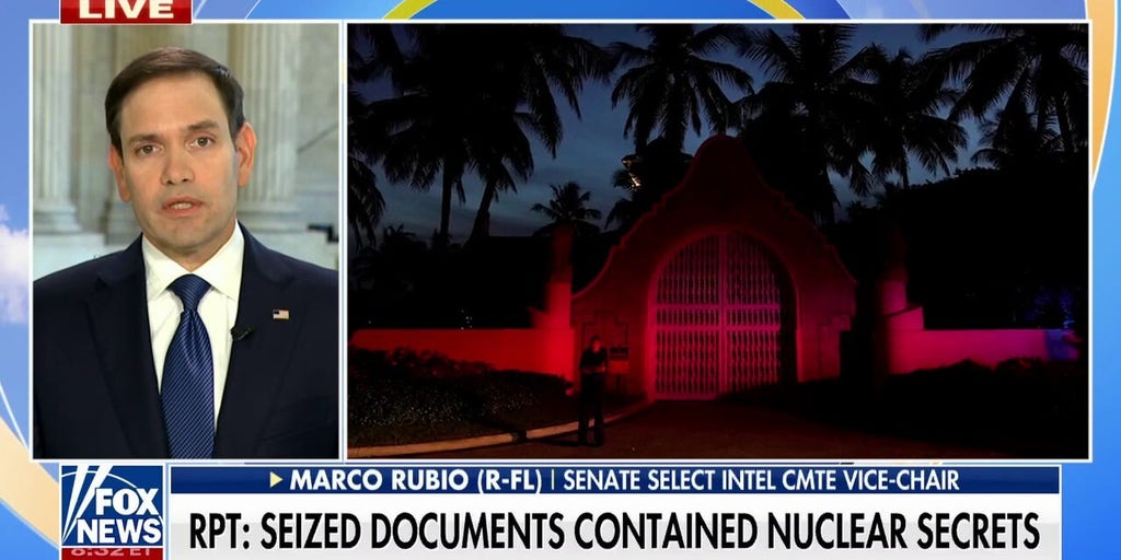 Marco Rubio: This is going damage to our country | Fox News Video