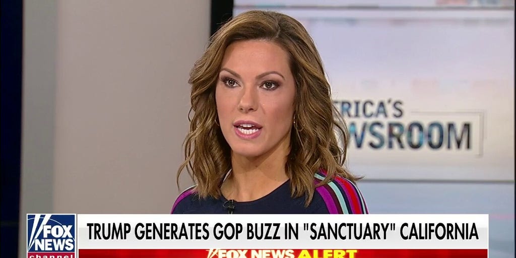 Lisa Boothe: Bloomberg will look 'terrible' at debate | Fox News Video