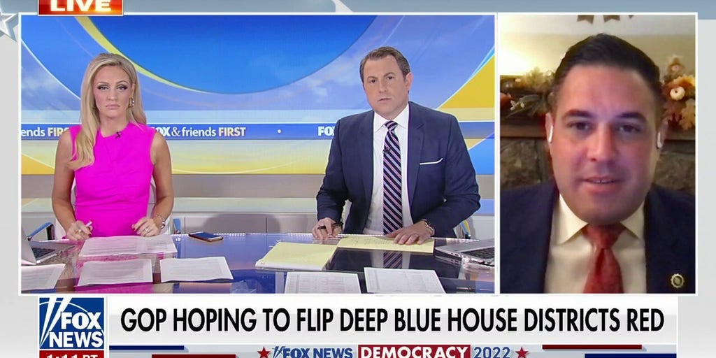 Former NYPD detective Anthony D'Esposito rips crime surge: 'The ...